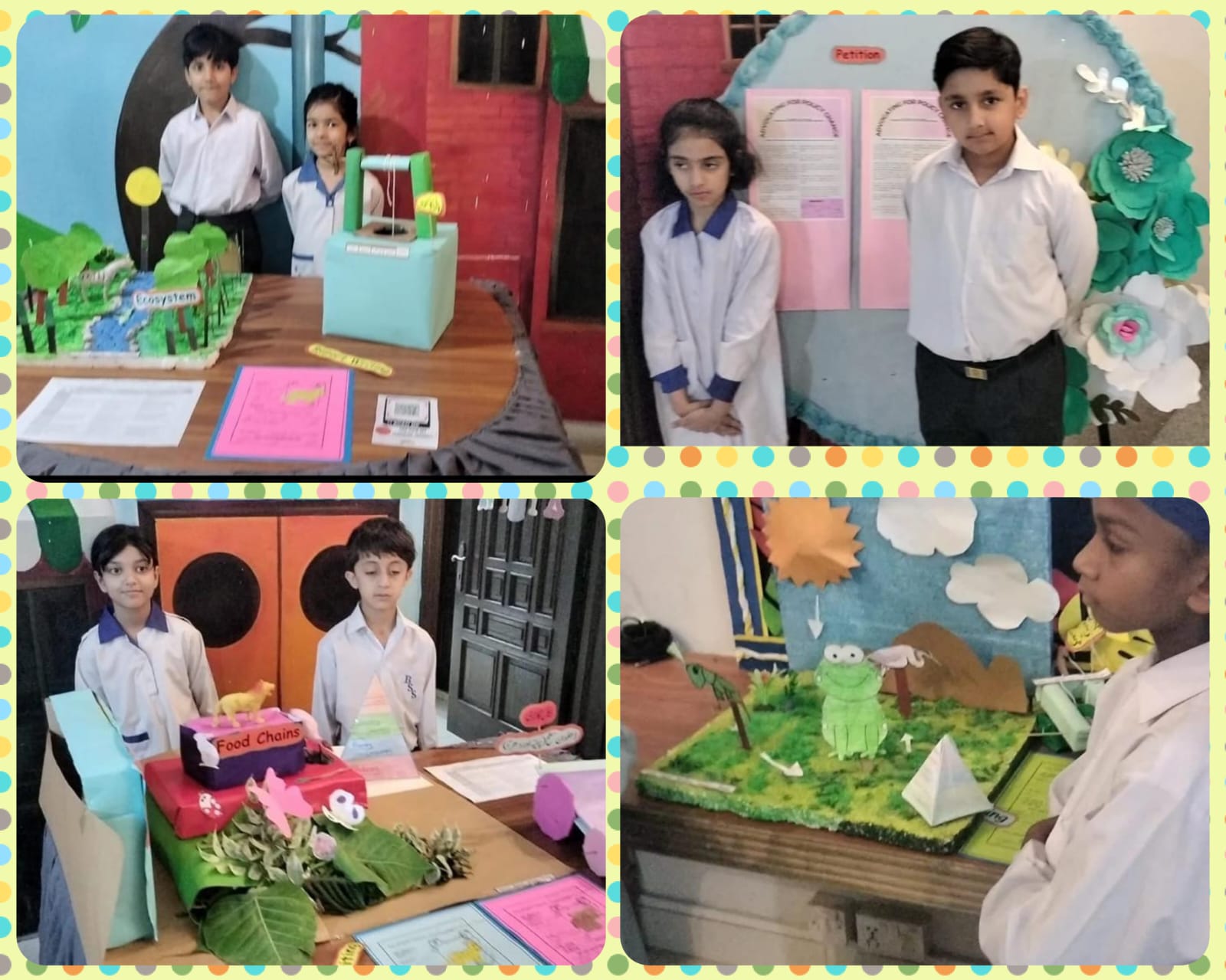 PROJECT BASED LEARNING GRADE 3 – Early Years and Primary Branch E-11