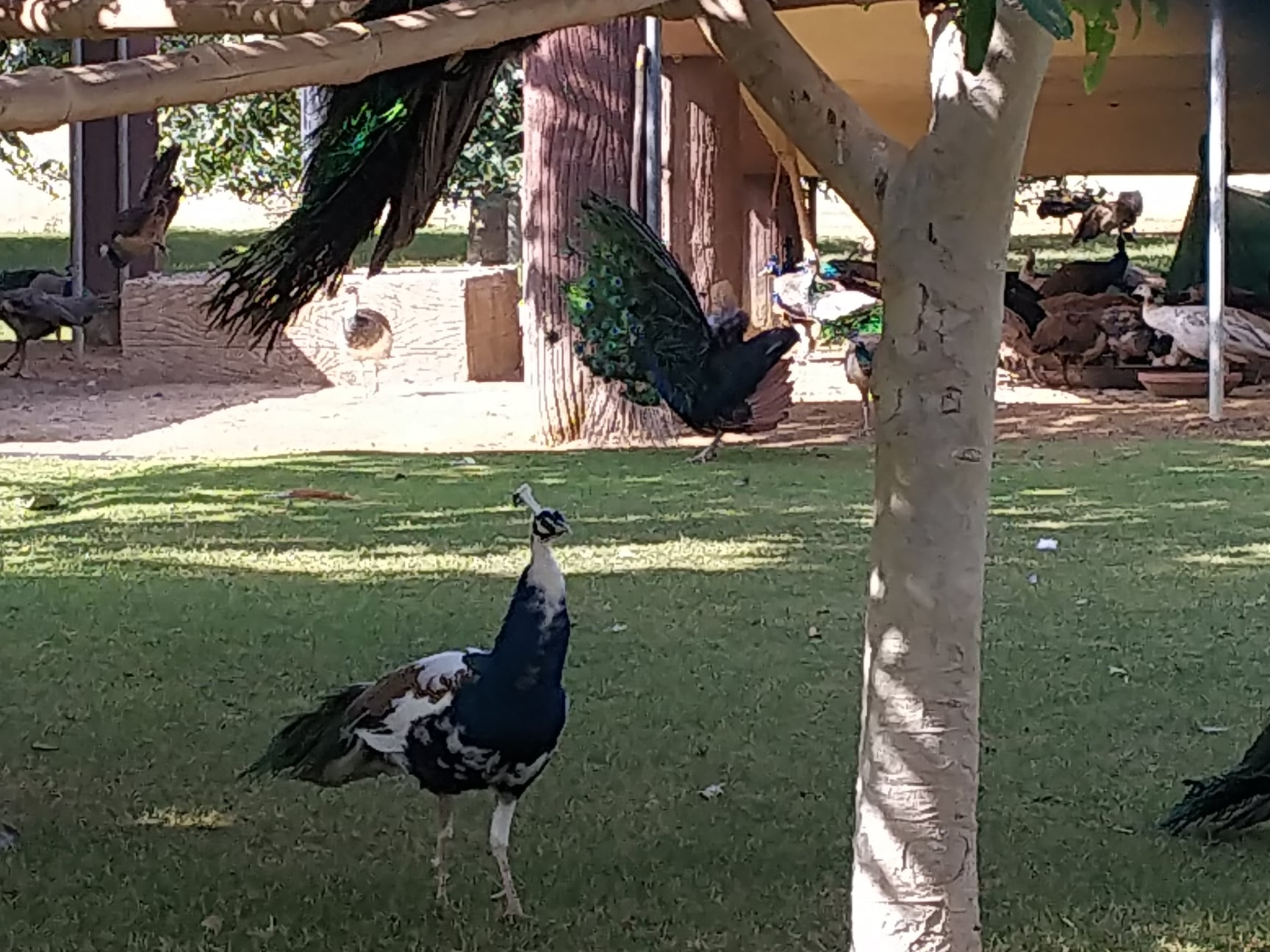 Excursion – Danzoo Bahria Town, Karachi – Gulshan KG III, Karachi