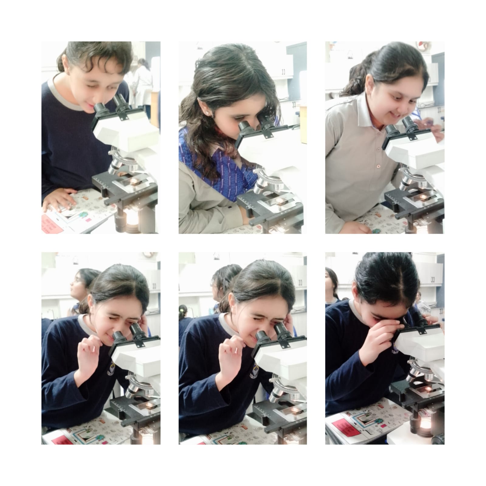 Exploring the Wonders of Science | Lab Visits – Civil Lines Branch ...